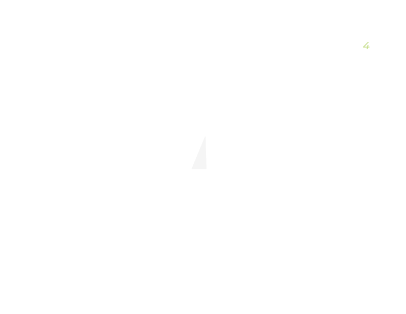 6 – Chatham Area Transit (CAT)